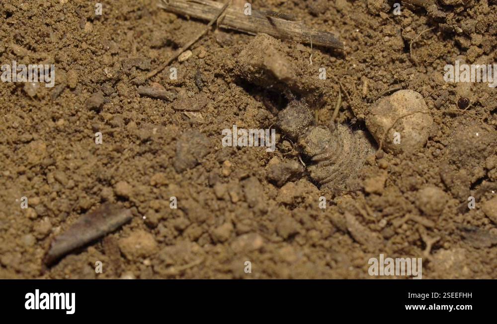 Gravel trap Stock Videos & Footage - HD and 4K Video Clips - Alamy