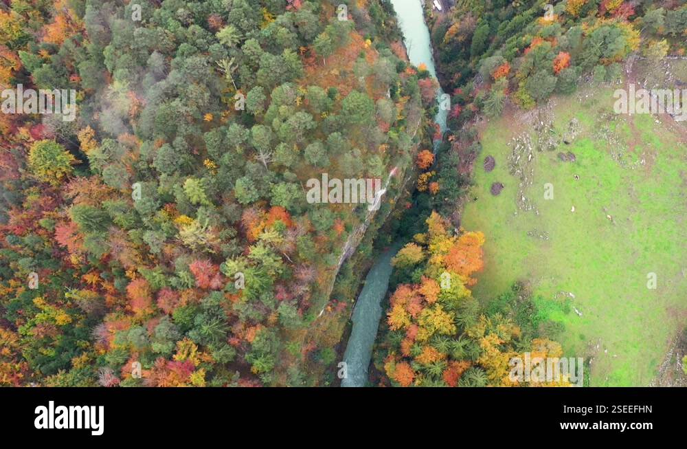 Beautiful canyon river in autumn forest, top view. Fall Orange, Green ...