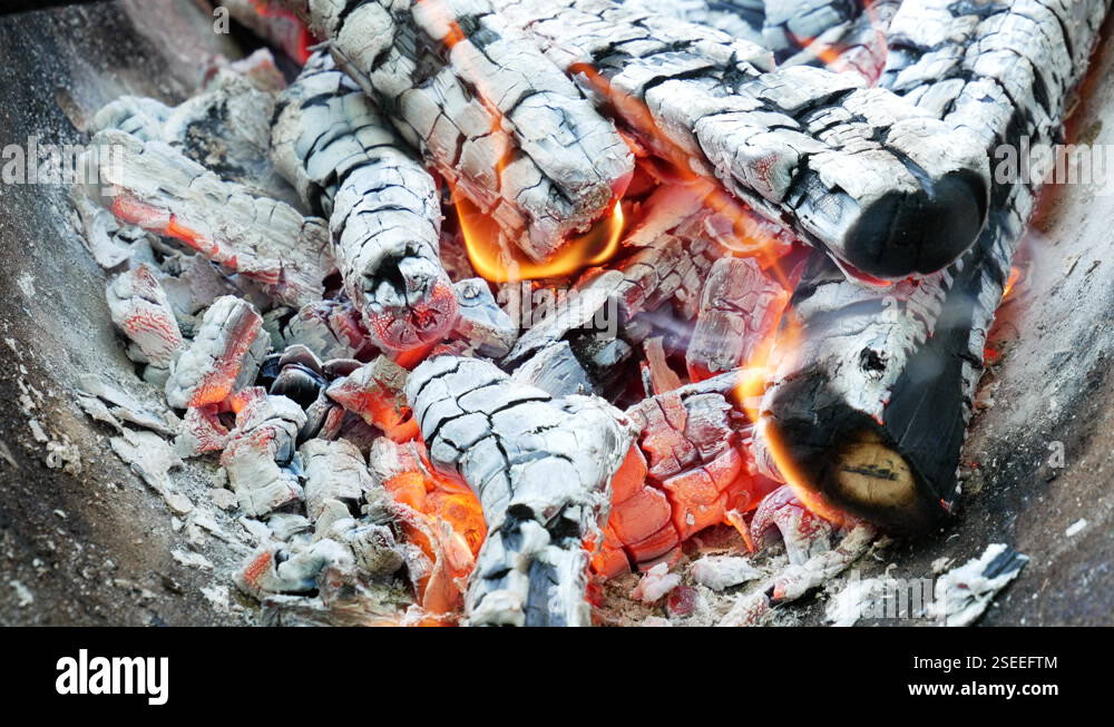 Burning birch logs in barbecue during daylight, close up view Stock ...