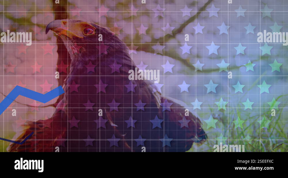 Multiple blue graphs moving over grid network and multiple stars against close Stock Video ...