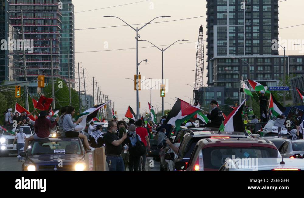 A crowd of protesters at the Free Palestine rally on the road, cars ...