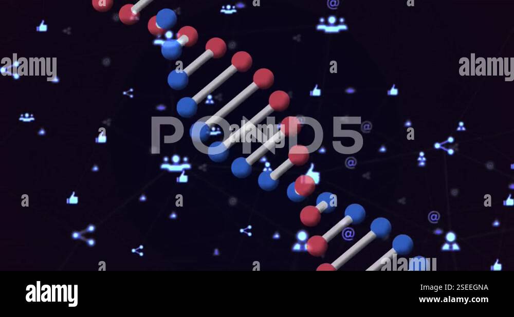 Animation dna strand spinning digital Stock Videos & Footage - HD and ...
