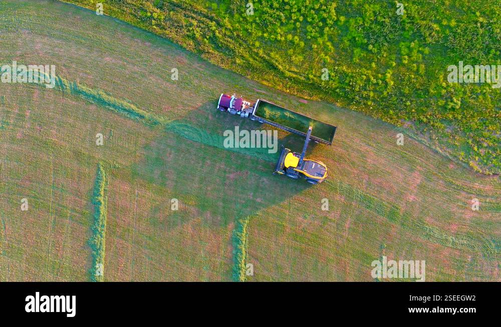 Tractor and semi truck harvesting crop in field Stock Video Footage - Alamy