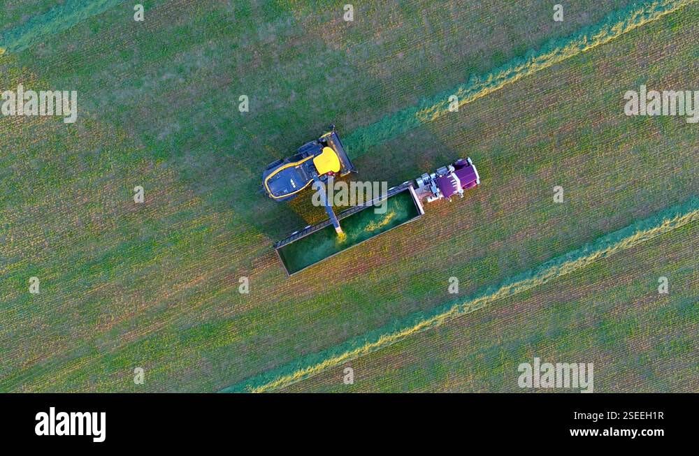 Tractor and semi truck harvesting crop in field Stock Video Footage - Alamy