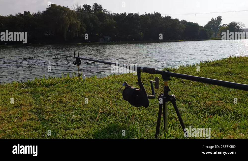 Low view of a fishing rod with a line in the water overlooking a calm ...