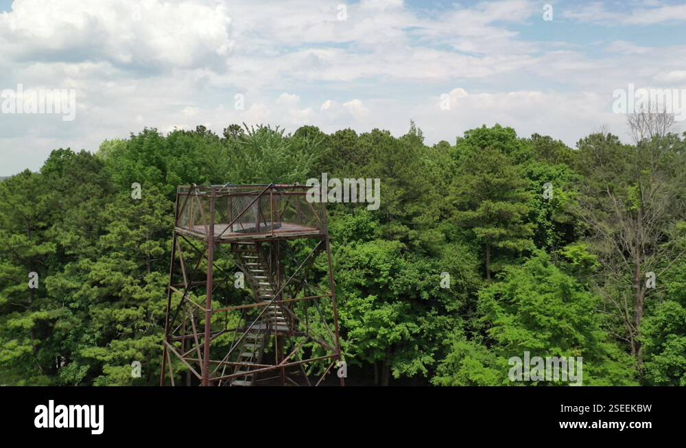 Area viewpoint tower of majestic forestry landscape in close by drone ...