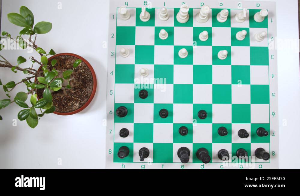 Hand Moves White Bishop Diagonally And Black Knight In An L-shape Stock ...