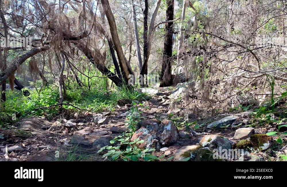 Australian trail Stock Videos & Footage - HD and 4K Video Clips - Alamy