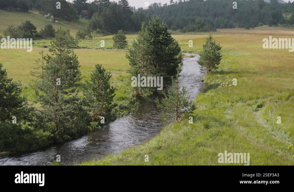 An amazing beautiful landscape view of river streaming in the green ...