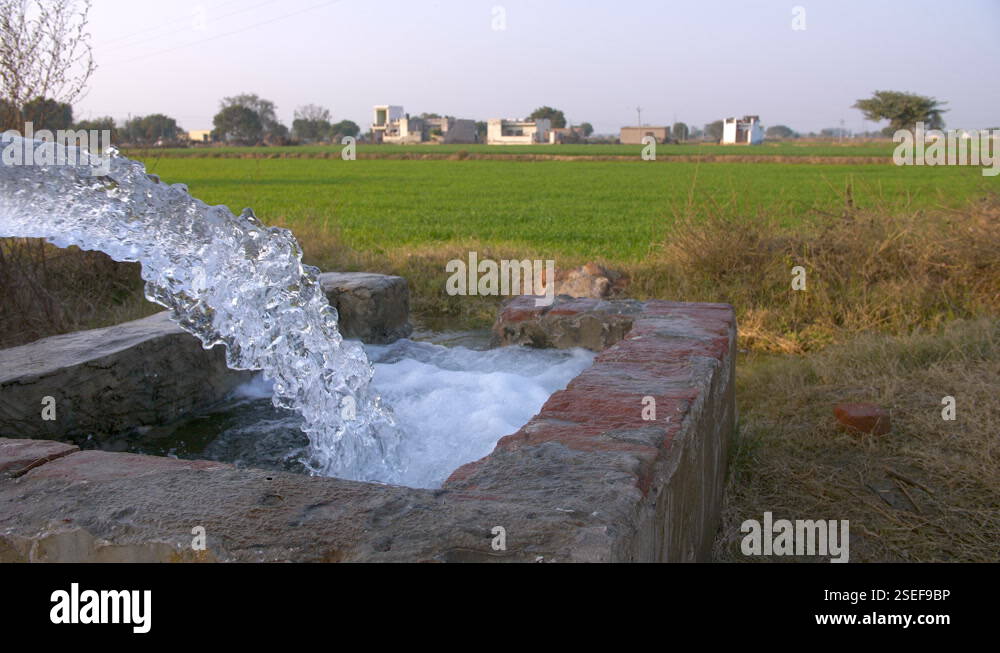 Fresh and pure water coming out of an agricultural tube well for ...