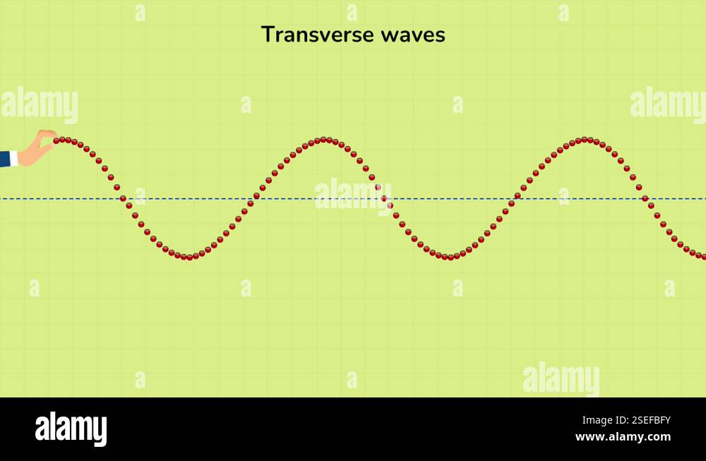 Transverse Waves, 2D animation video of Transverse Waves. Animated 4K ...
