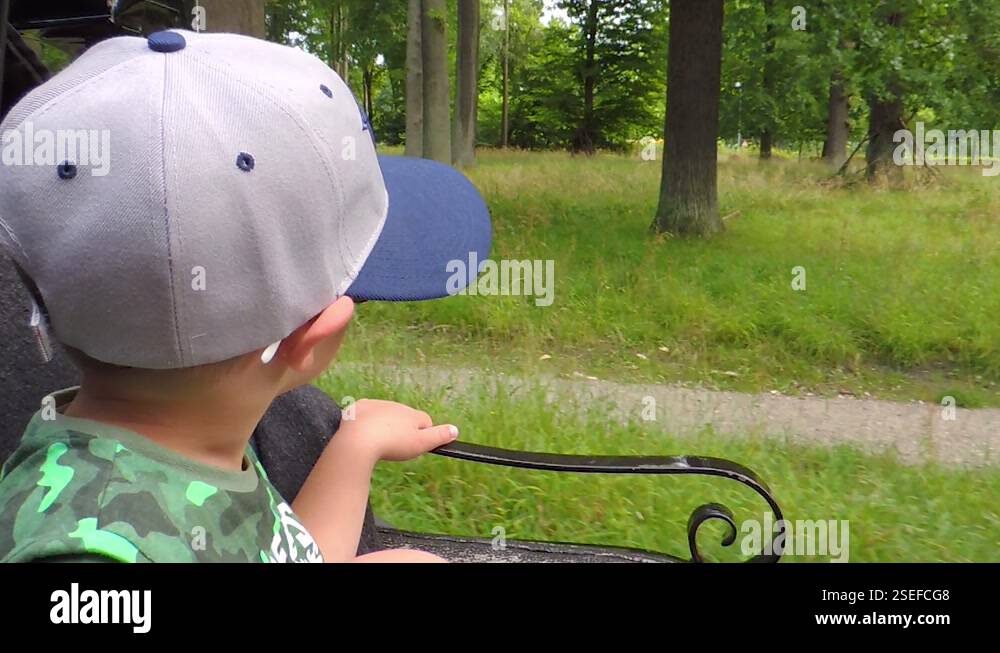 Coach Ride in Summer. Boy Wearing a Cap is Enjoying the Carriage Ride ...