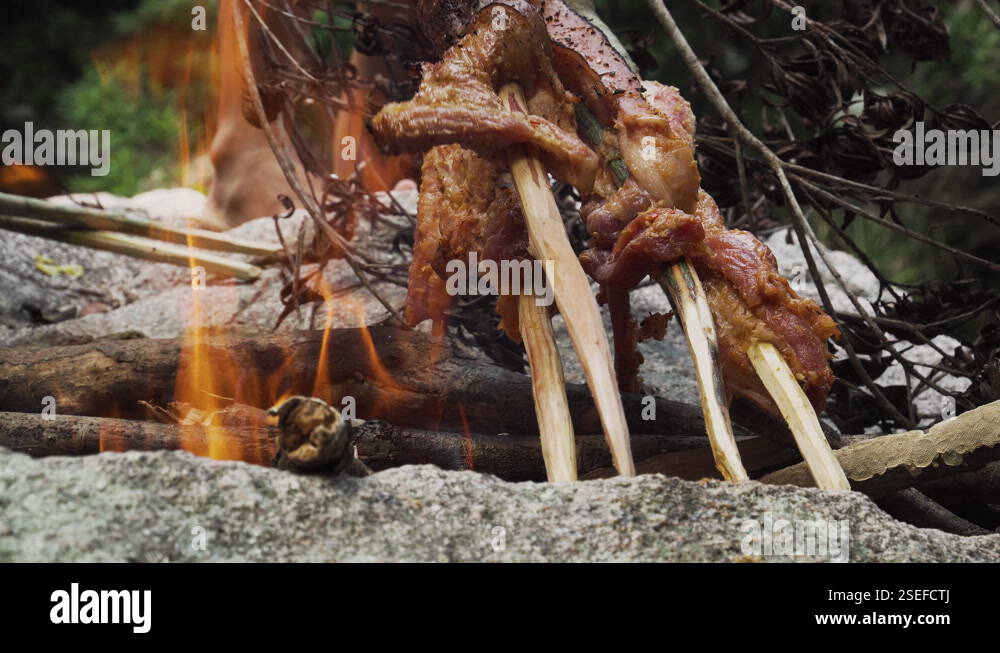 Jungle bbq Stock Videos & Footage - HD and 4K Video Clips - Alamy