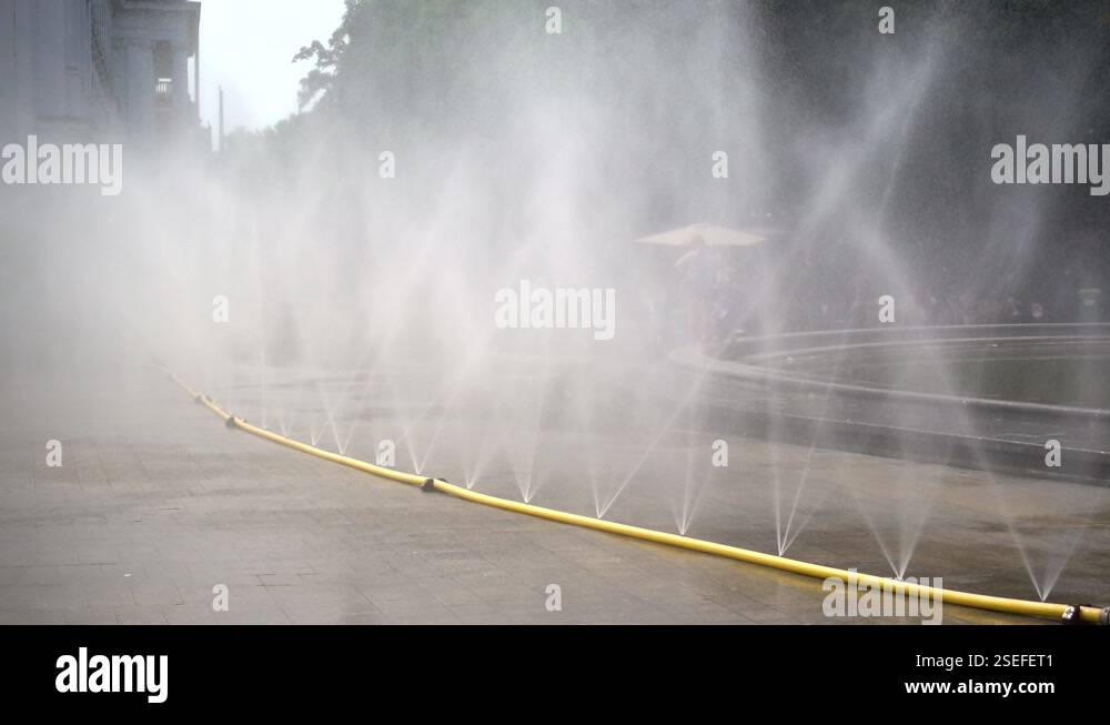Water horse spraying out fine water mist to cool off during hot summer ...