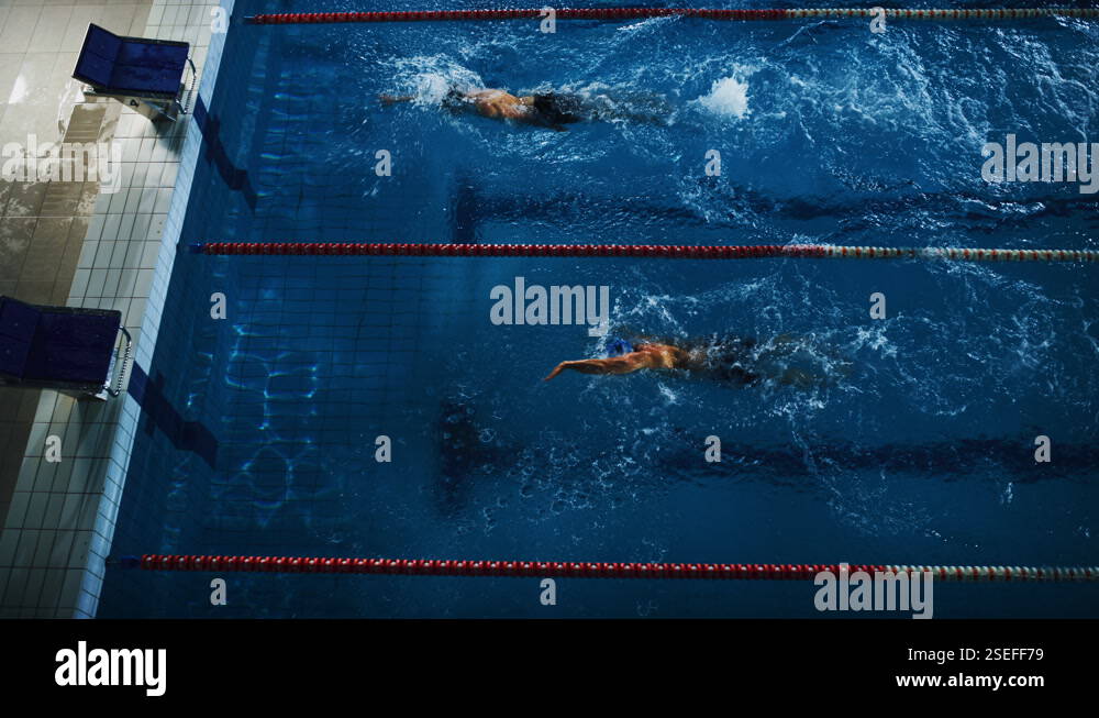 Two Swimmers Compete in Swimming pool Stock Video Footage - Alamy