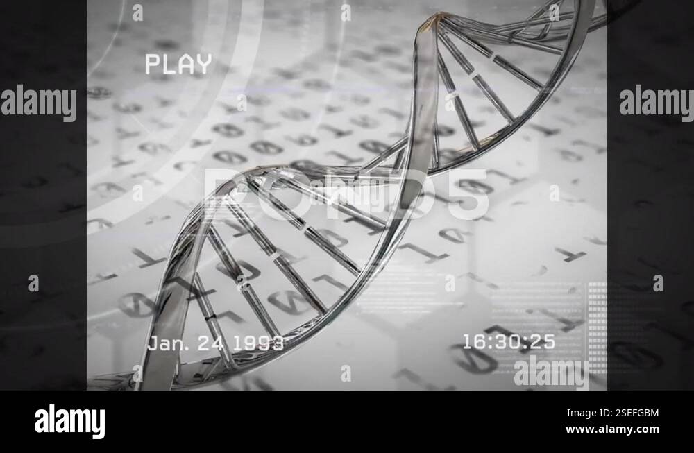 Animation of play text interface on screen with dna strand and binary coding Stock Video Footage ...
