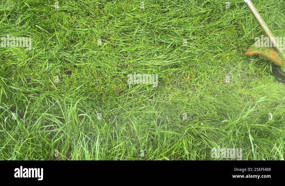 Rotary trimmer cutter Stock Videos & Footage - HD and 4K Video Clips ...