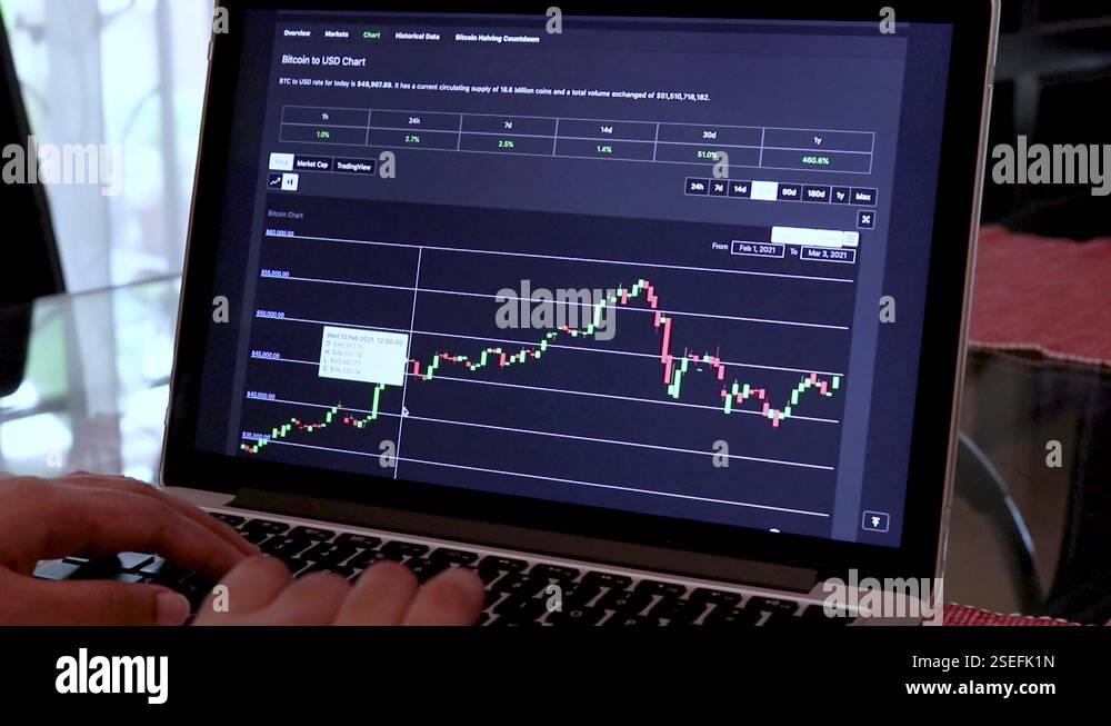 Women going through BTC Bitcoin 90 days Candle Stick Charts on a Laptop ...