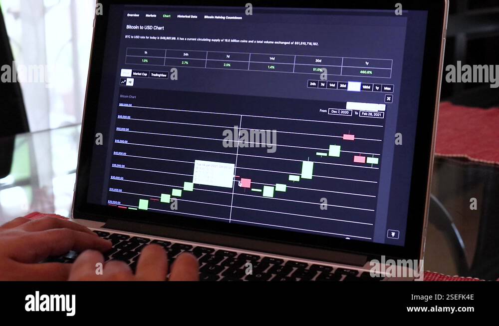 Women going through BTC 90 days Candle Stick Charts on a Laptop Stock ...