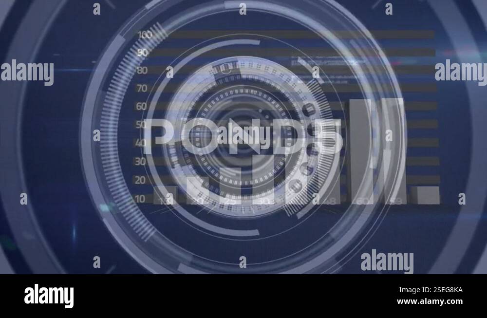 Animation scope scanning over statistics Stock Videos & Footage - HD and 4K Video Clips - Alamy