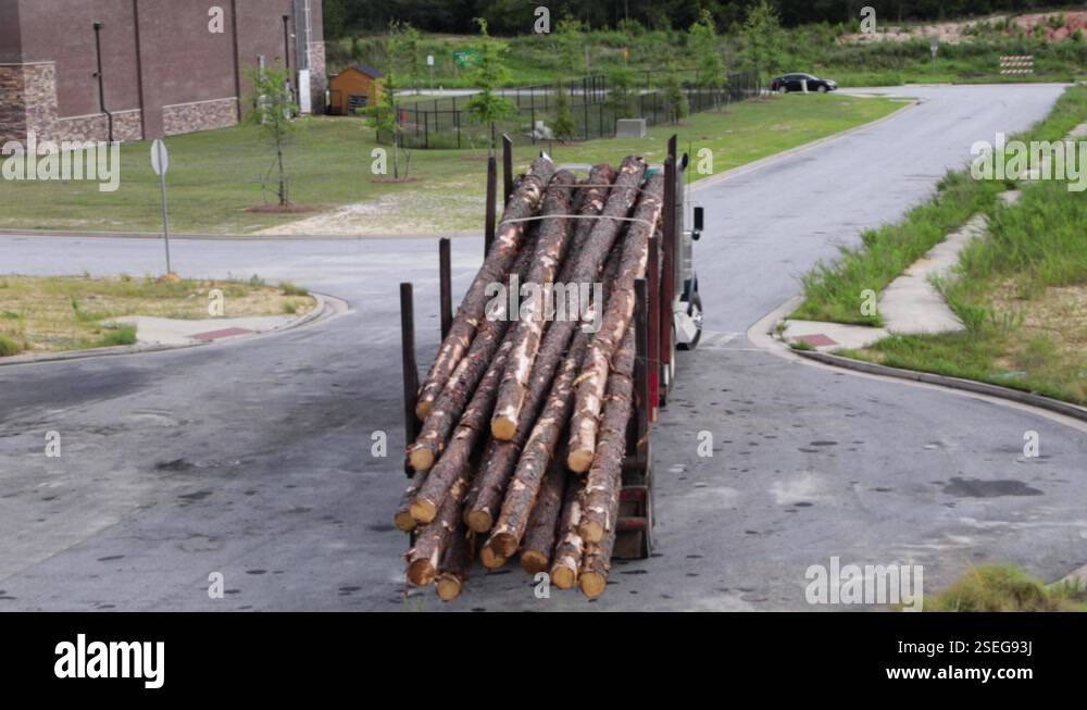 Log circle Stock Videos & Footage - HD and 4K Video Clips - Alamy