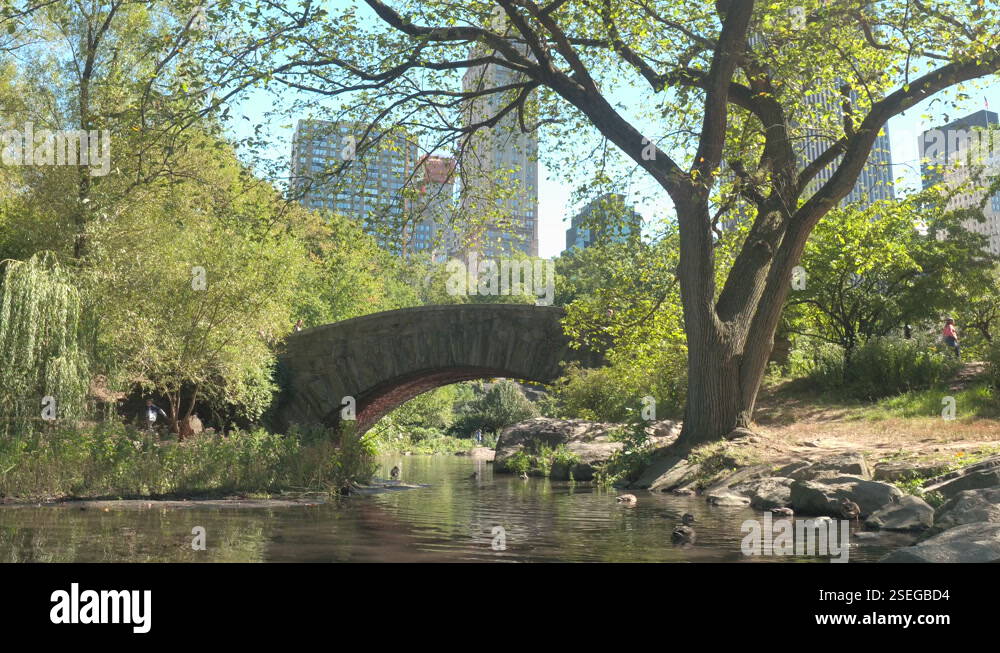 Tourist cross a stream while exploring a scenic park in downtown New ...