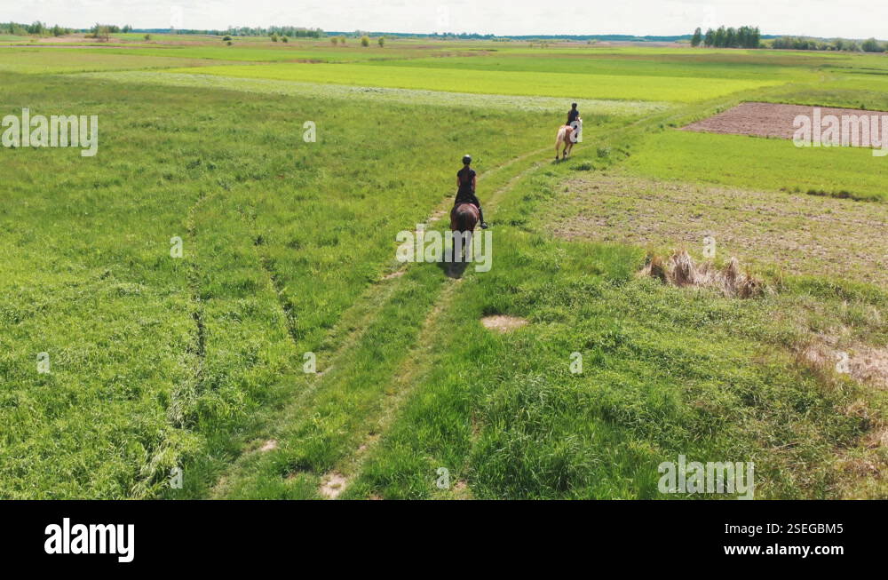 Two Horse Riders On Flaxen Horse And A Bay Horse Horse In The Farm ...