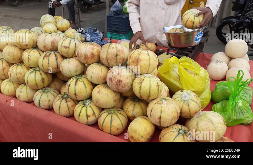 Man Selling Muskmelon Fruit in a wheelbarrow thela gaadi at Roadside of ...