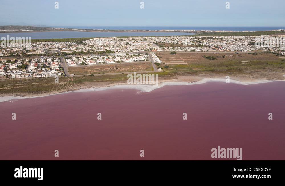 Salty wetland Las Salinas De Torrevieja. Pink salt lake, Costa Blanca ...