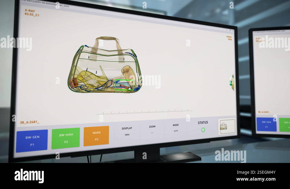 A Detector used in the modern Airport has Found the Pistol inside of ...