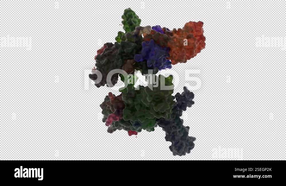 structure of SARS-CoV super complex of non-structural proteins: the ...