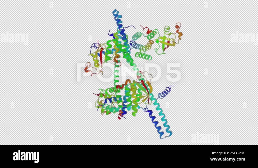 Crystal structure of SARS-CoV super complex of non-structural proteins ...