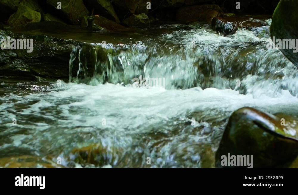 Natural stream in the forest, clear mountain water flowing down the ...