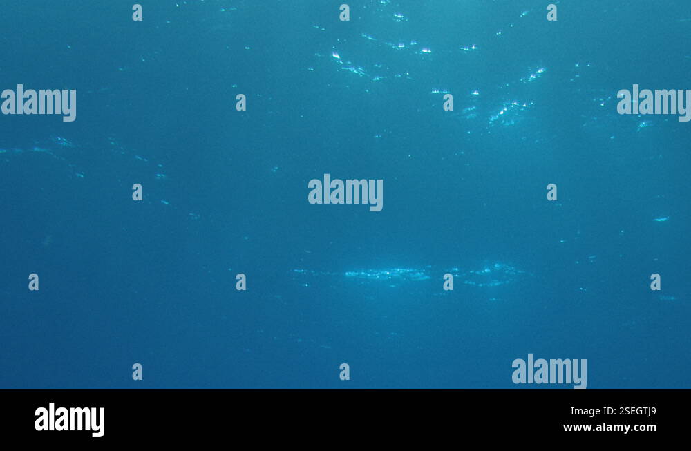 Sun penetrating ocean surface. Underwater god rays vfx background ...