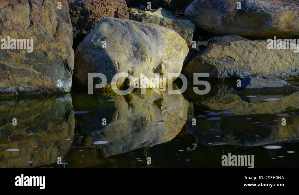8K stone shore reflection Klamath wildlife reserve Klamath Falls Oregon ...
