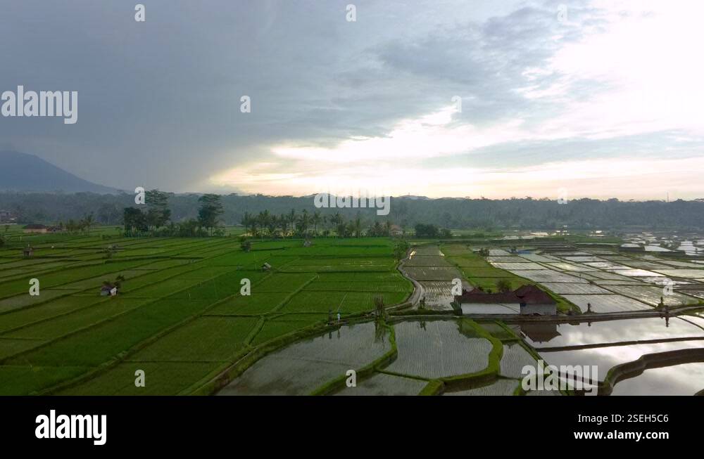 Birds eye view of vast endless plains with cultivated watery paddy ...