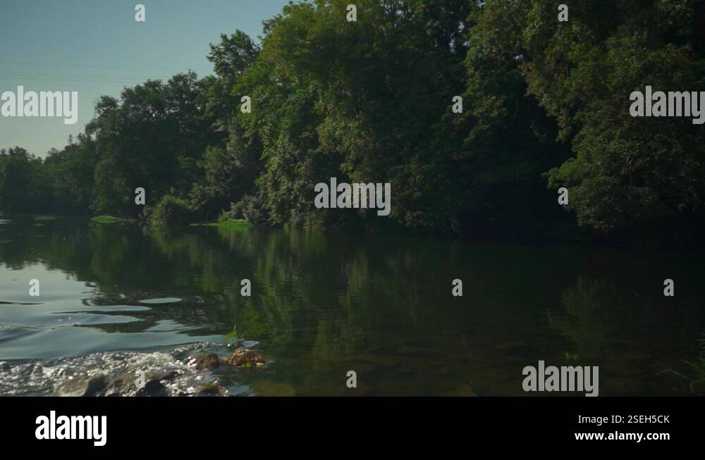 riverbank with trees and running water of a river in Barcelos, Portugal ...