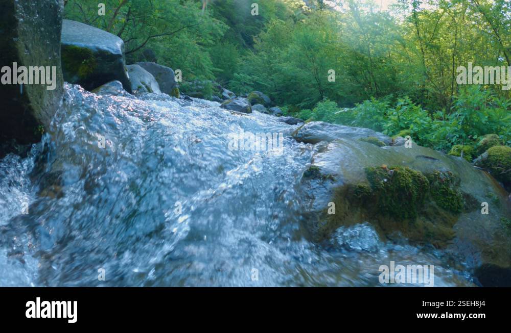Fresh Mountain River, Slow Push Into Water, Daisen National Park ...