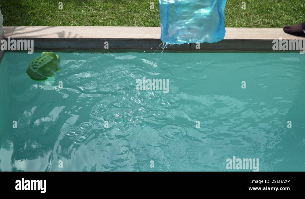 Skimming leaves and other trash floating in a swimming pool using a ...