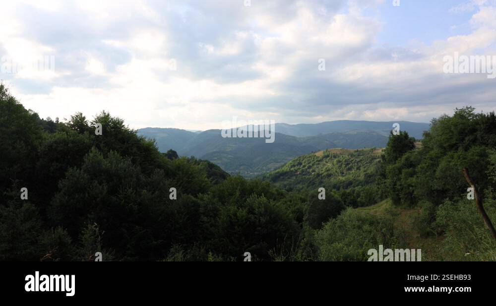 Clouds Moving Under The Green Forest In The Mountain Range During ...