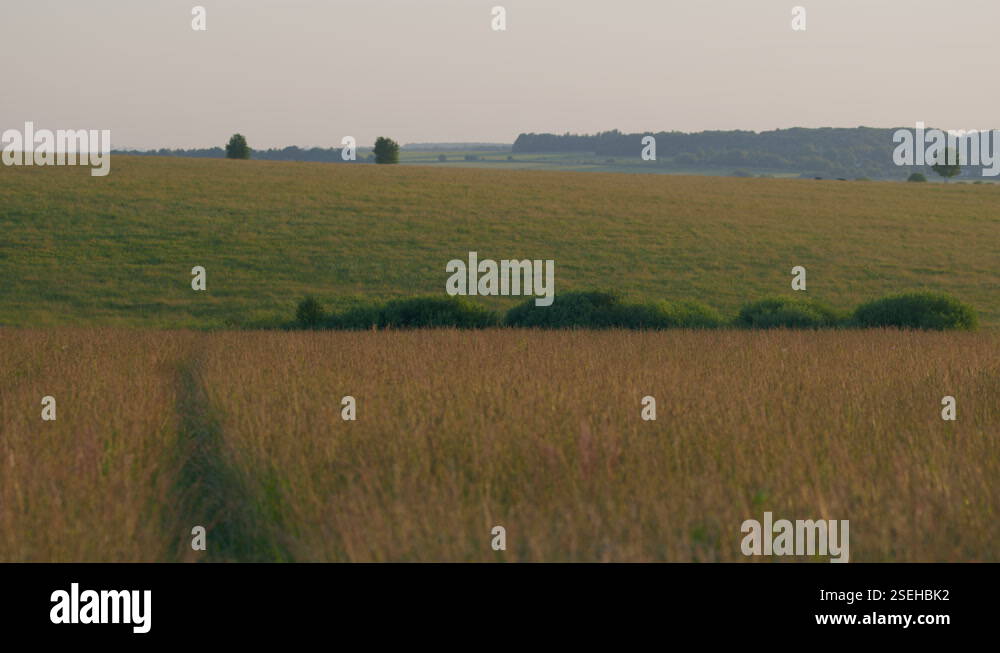 Beautiful sunset over field. Beautiful sunset in evening time Stock ...