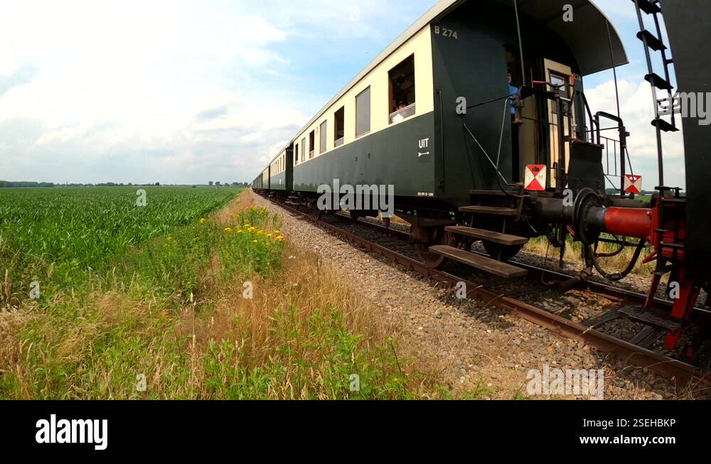 Dutch steam locomotive with wagons driving through Veluwe landscape ...