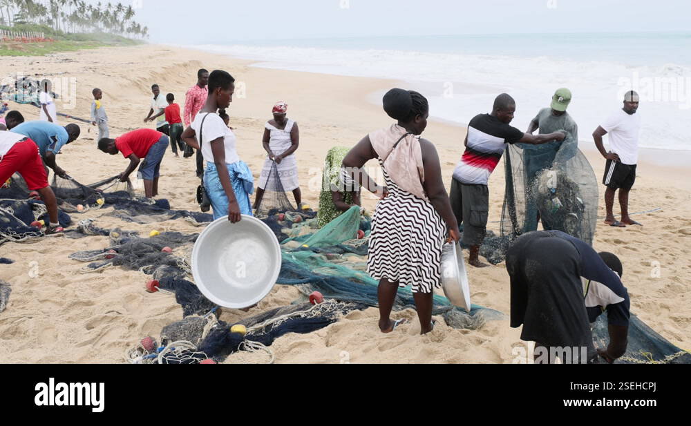 Fish long ocean net on beach collecting fish Cape Coast Ghana 4K Stock ...