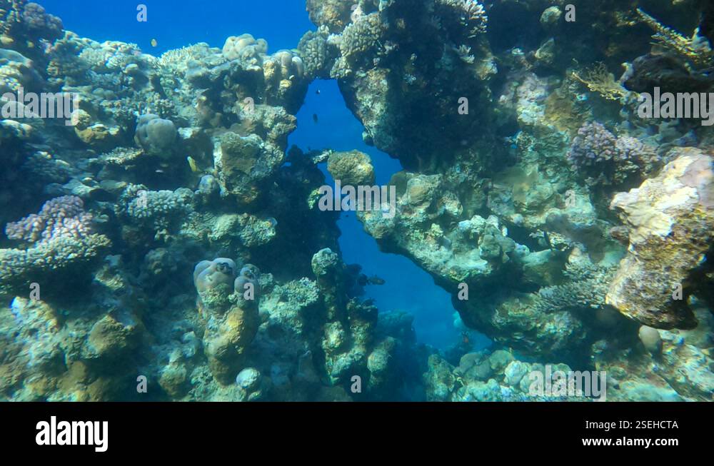 Sailing through a rift in a coral reef in morning sunrays. Sun rays in ...