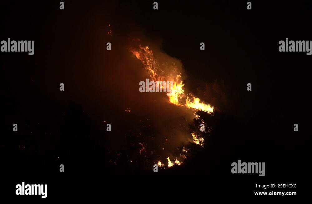 Flaming Trees burning, raging bushfire in the pitch black darkness ...