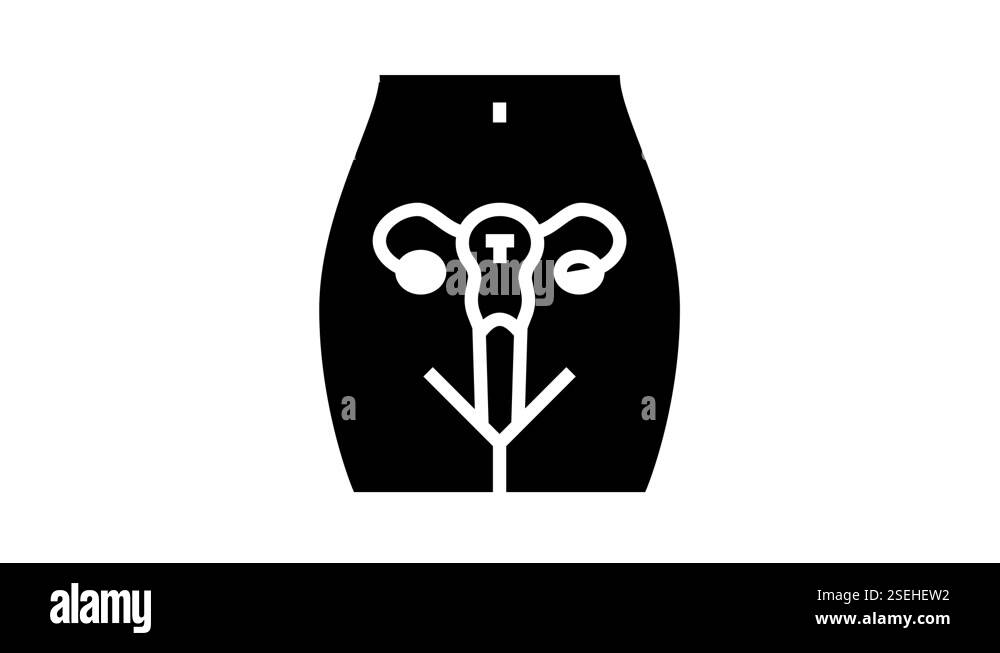 uterus female organ glyph icon animation Stock Video Footage - Alamy
