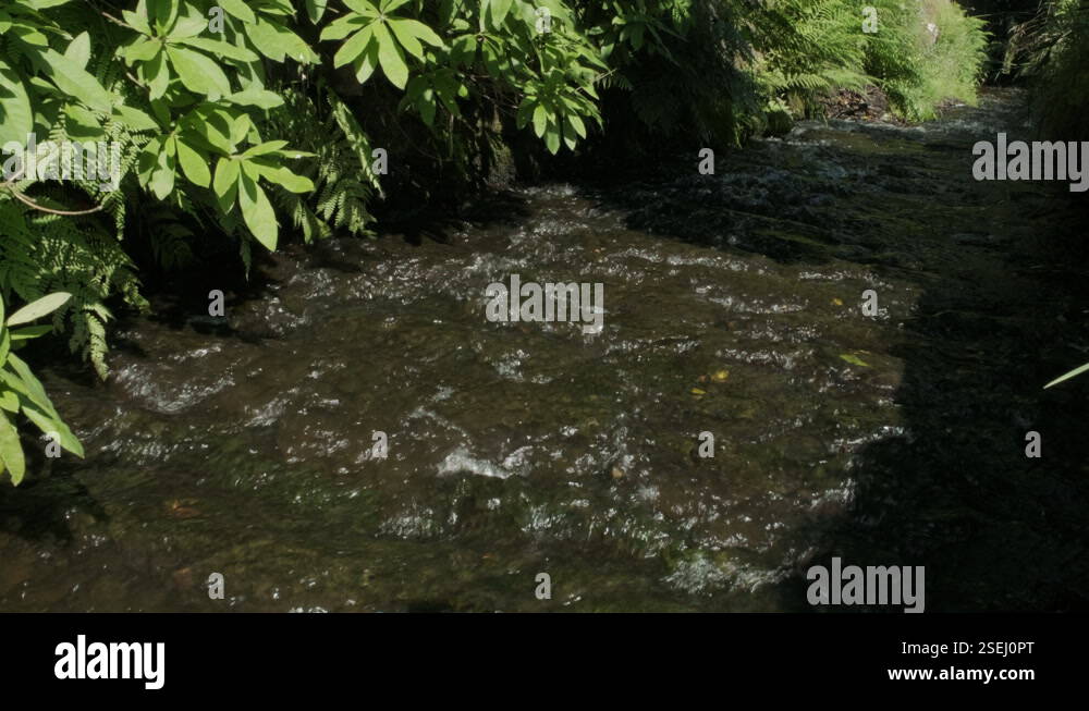 Water running down a fast stream in the sunshine Stock Video Footage ...