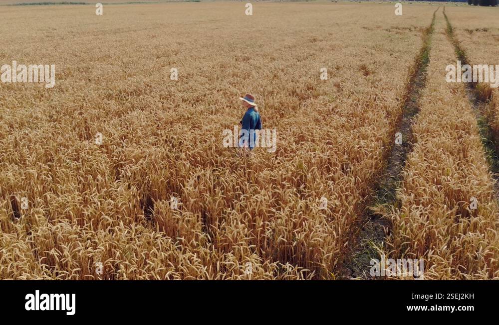 Field supervision Stock Videos & Footage - HD and 4K Video Clips - Alamy