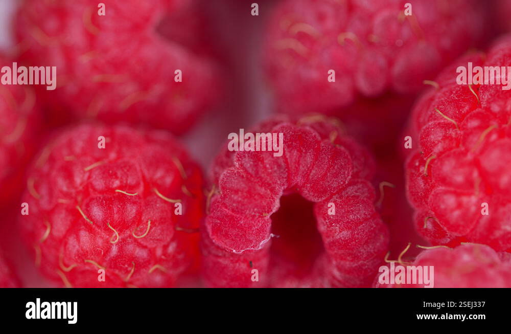 Fresh raspberry fruits as food dackground. Red raspberries, rotation ...
