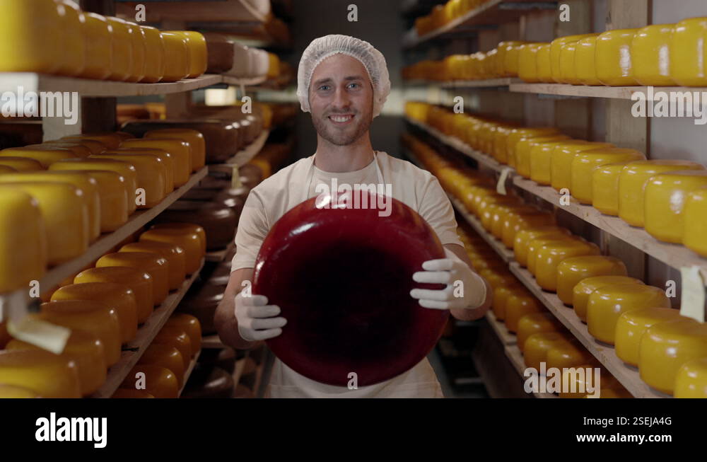 Man standing at storehouse and holding aged cheese head Stock Video ...